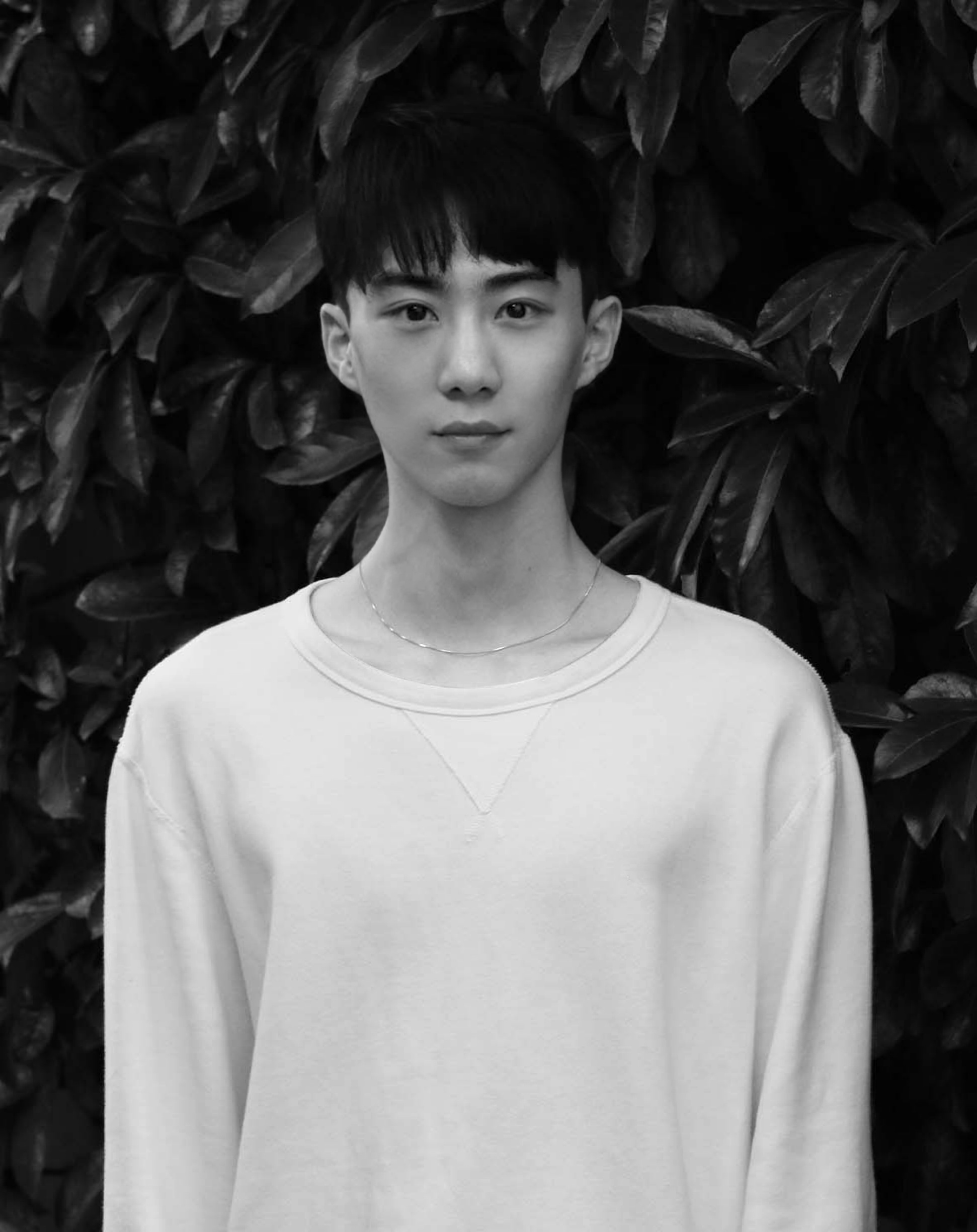 Roger Wang | 王若洲