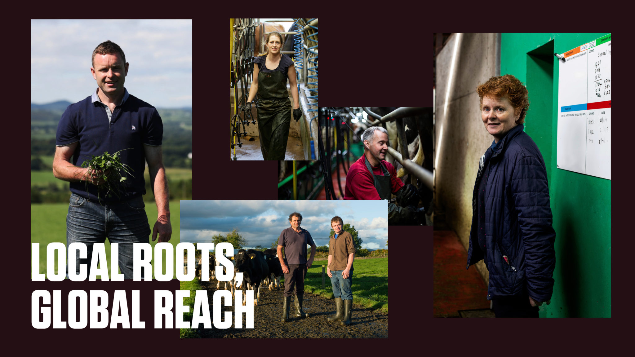 Tirlán Brand Case Study | Siegel+Gale Branding