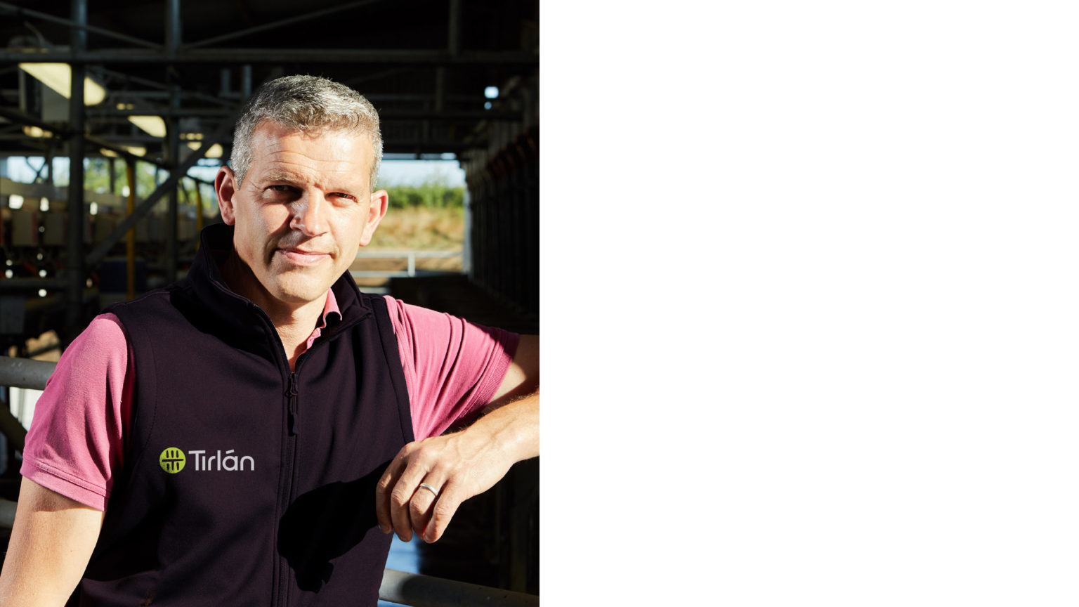 Tirlán Brand Case Study | Siegel+Gale Branding